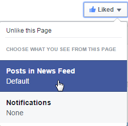 Not Seeing Our Updates or Emails? Here's How to Fix it – Saddleback BBQ